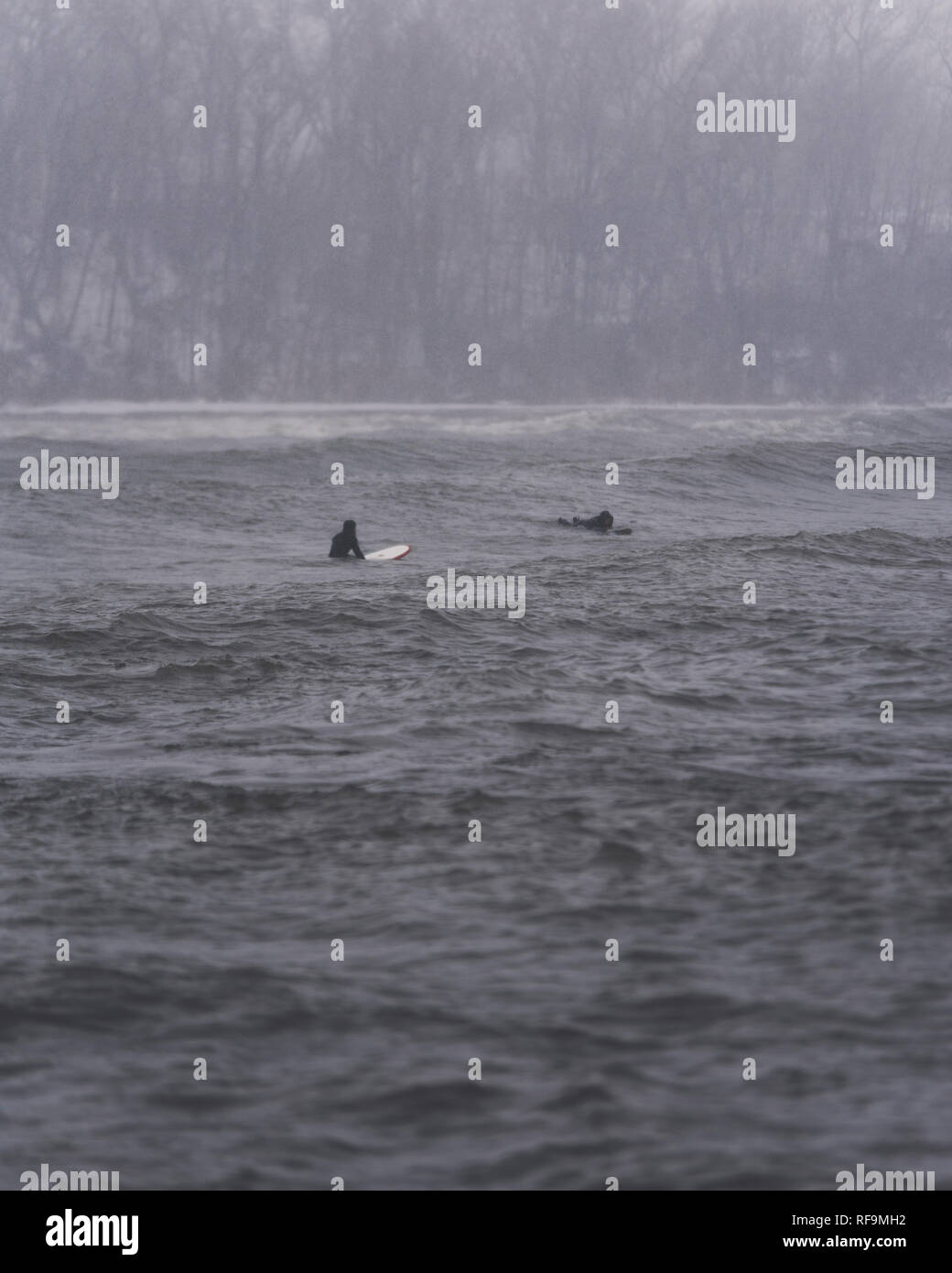 Surfers in the snow Stock Photo - Alamy