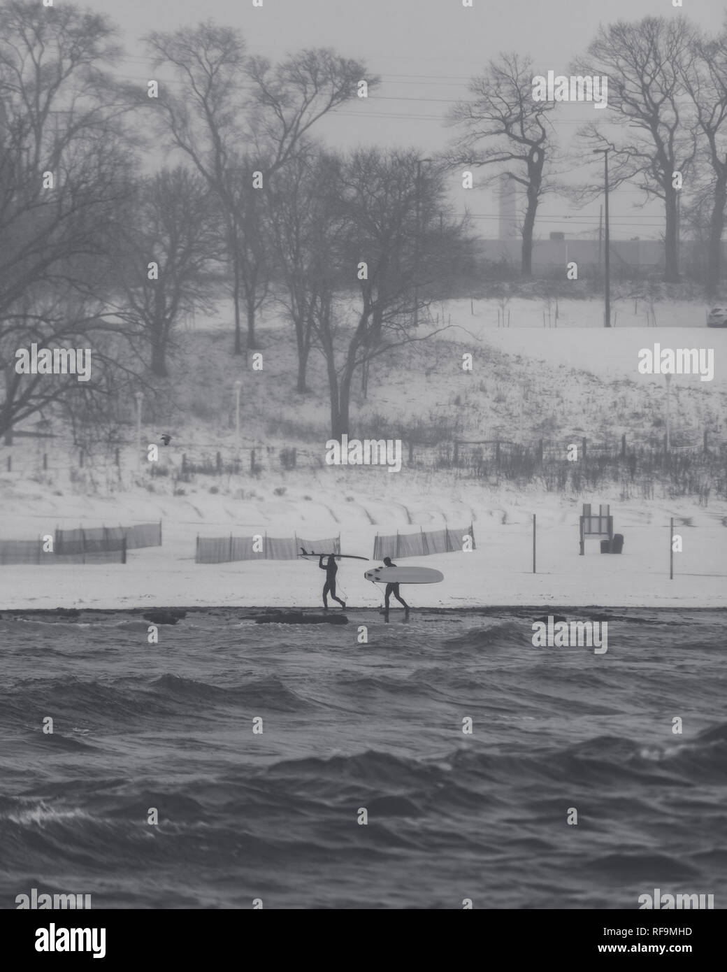 Surfer’s hall of fame hi-res stock photography and images - Alamy