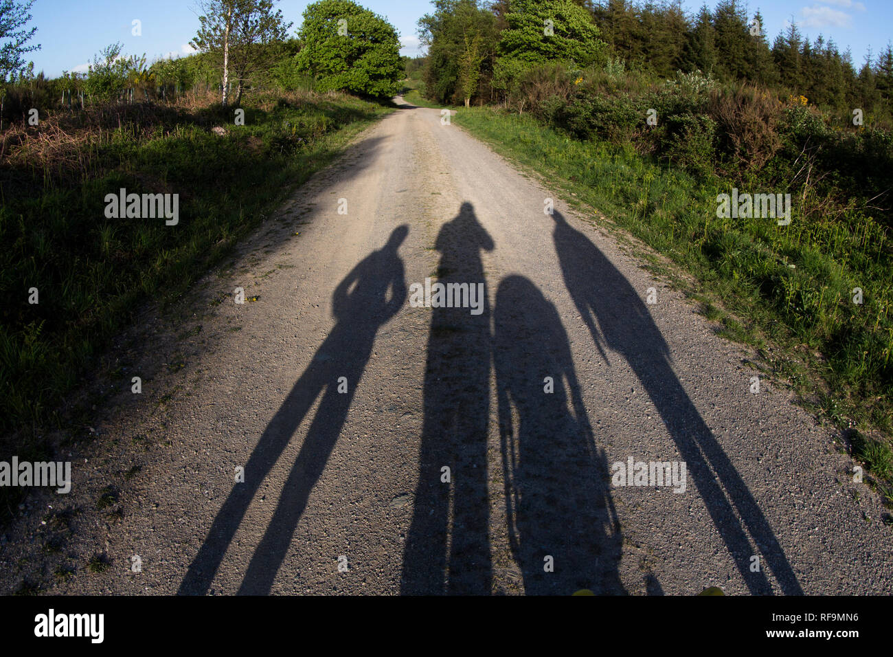 Woolwell hi-res stock photography and images - Alamy