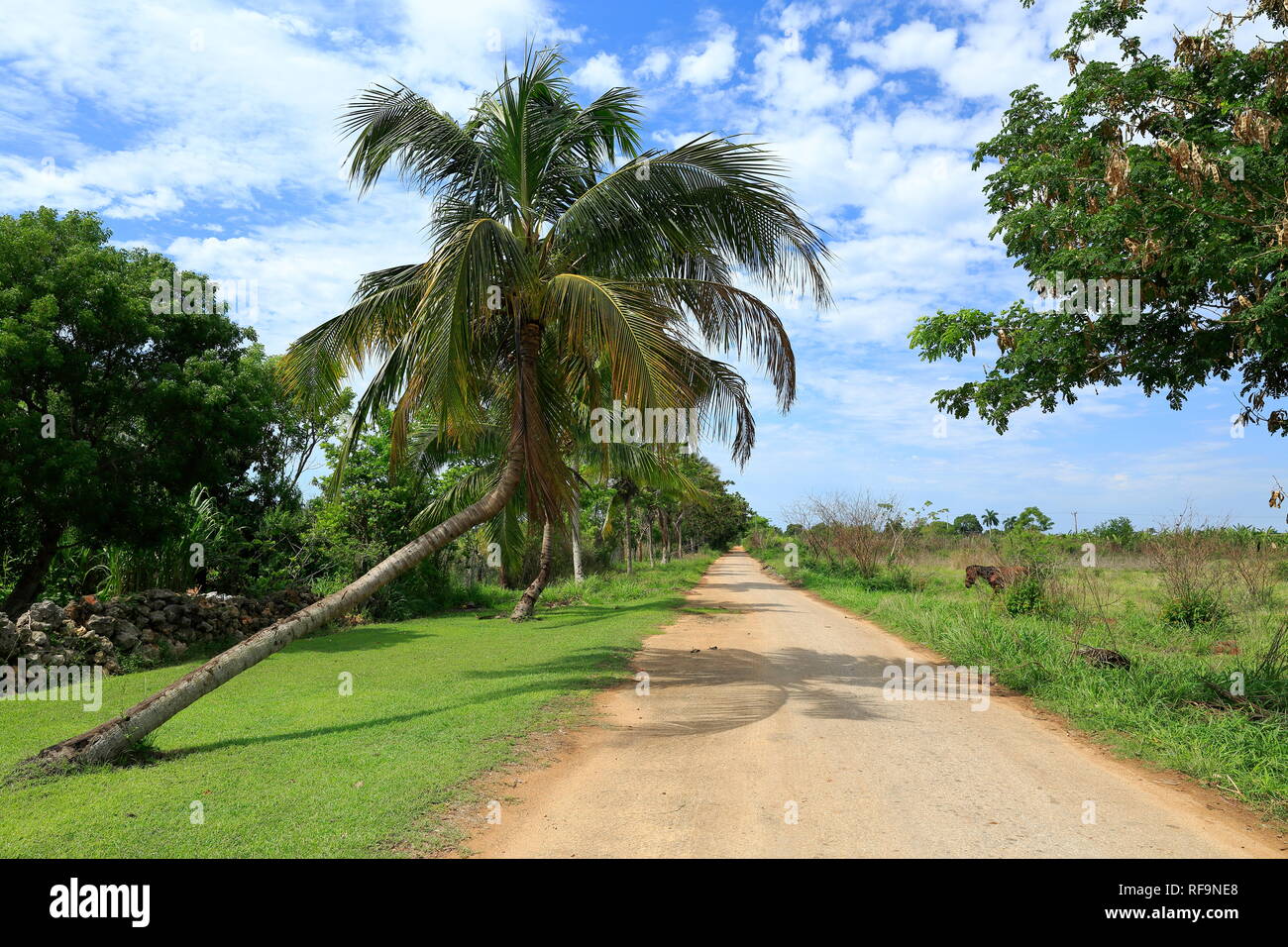Cuba road scenic nature hi-res stock photography and images - Alamy