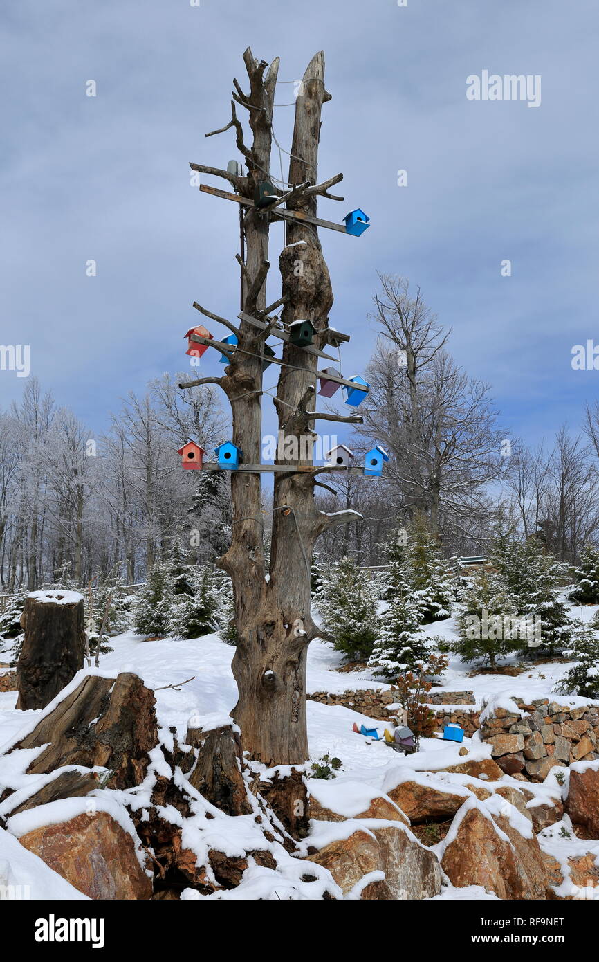 Winter scenery, bird houses in a ski resort Stock Photo - Alamy