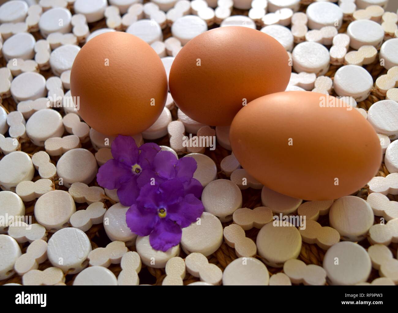 Australian easter hi-res stock photography and images - Alamy