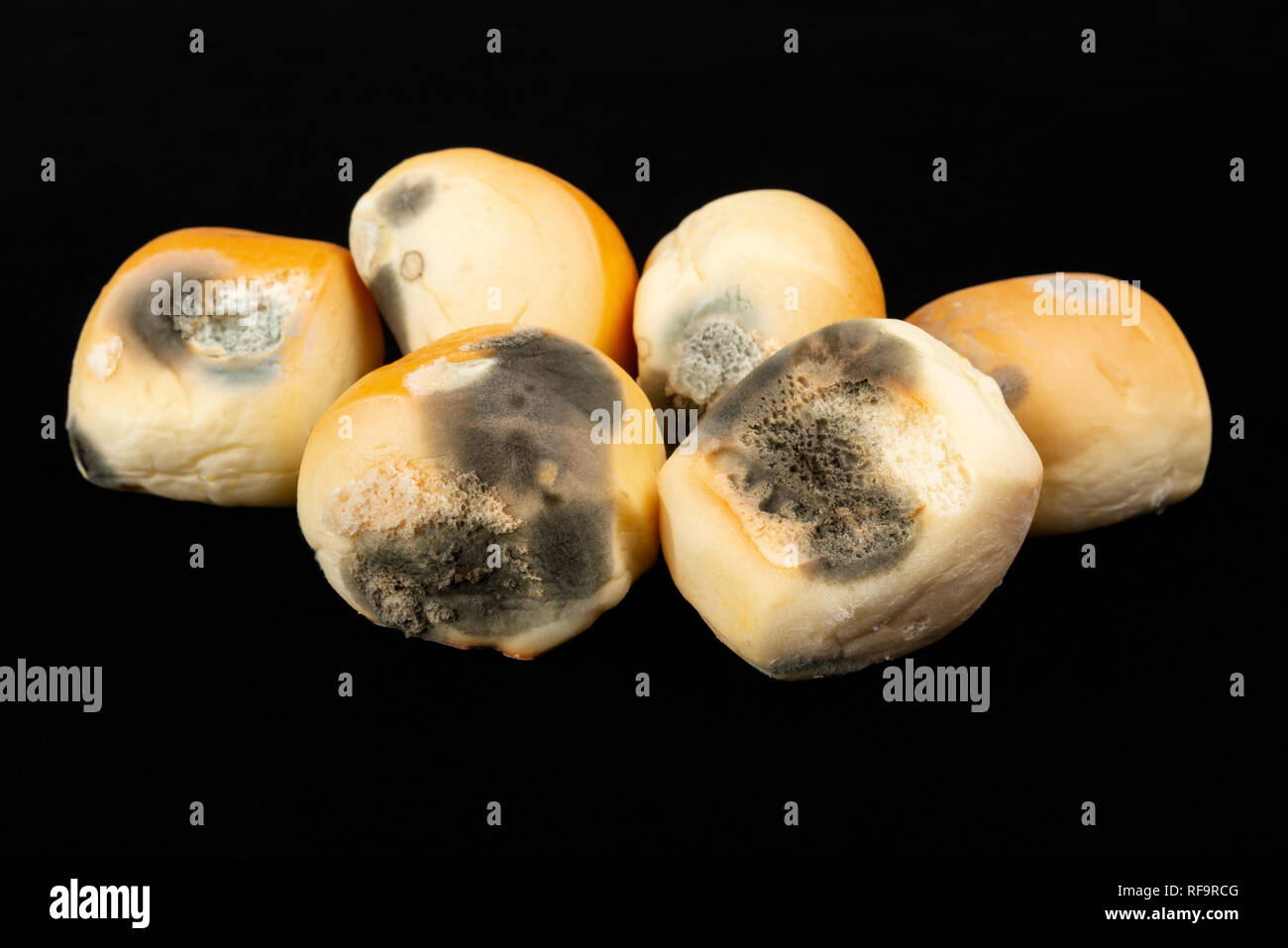 moldy buns on black background Stock Photo - Alamy