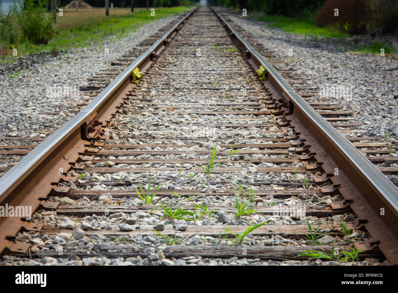 A perspective view of rusty railroad tracks with weeds growing through the gravel Stock Photo ...