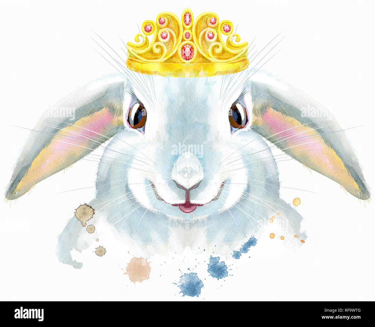 Cute white rabbit with crown on white background Stock Photo - Alamy