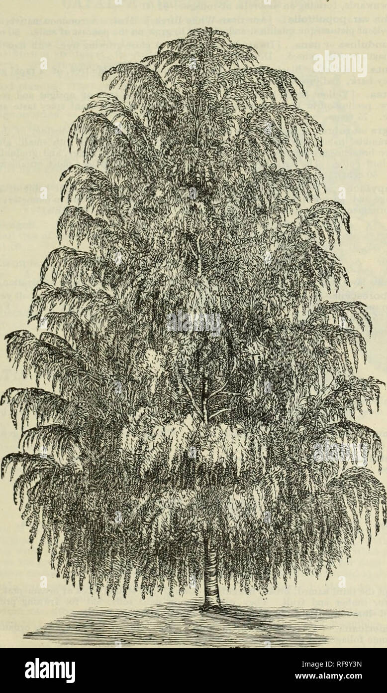 J W W Birch High Resolution Stock Photography and Images - Alamy