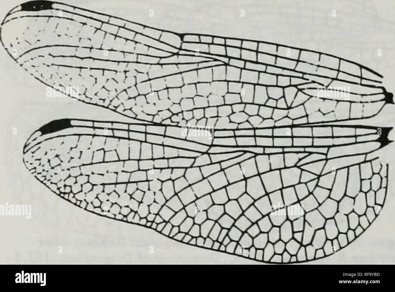 1910 1978 hi-res stock photography and images - Alamy