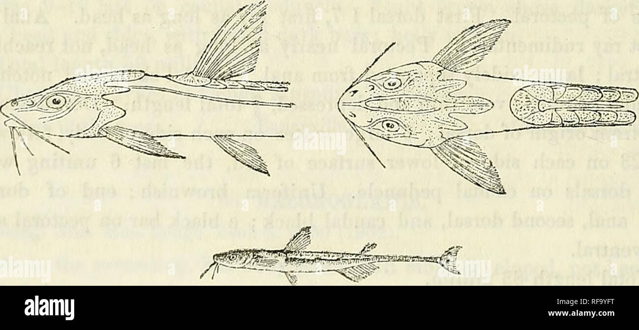 . Catalogue of the fresh-water fishes of Africa in the British Museum ...