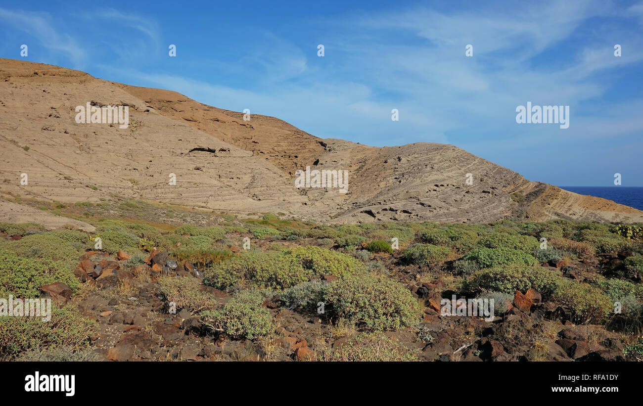 Common endemic flora such as Psammophytes, Euphorbias and other spurges ...