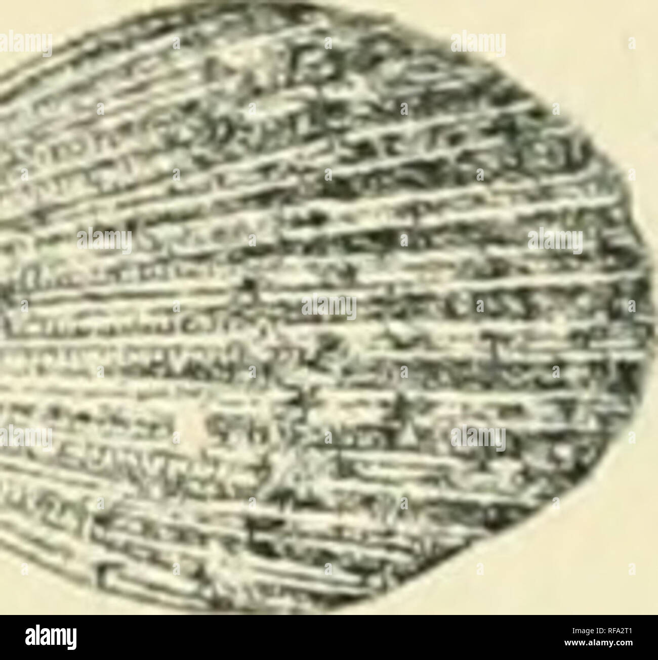 Gondokoro hi-res stock photography and images - Alamy