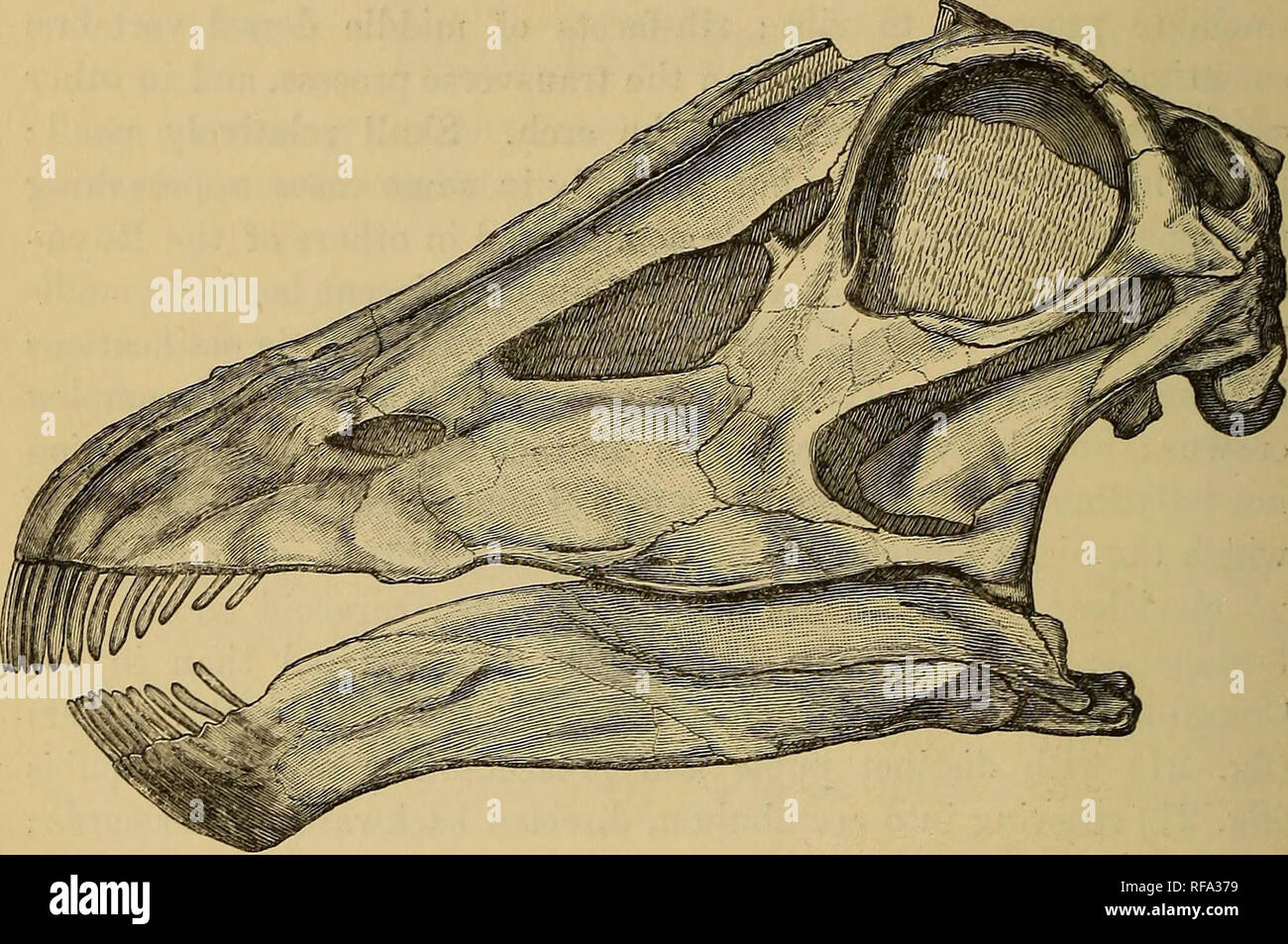 . Catalogue of the fossil Reptilia and Amphibia in the British Museum ...
