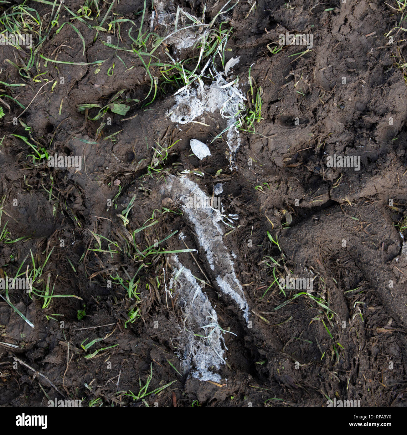 Study on the rugby pitch at Trefil, Wales Stock Photo - Alamy