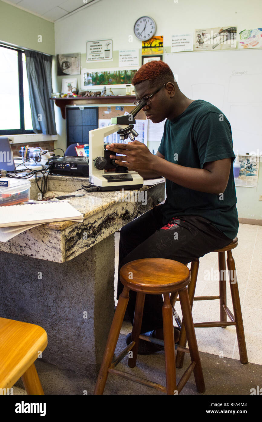 A international student sitting at the table and investigating a sample ...