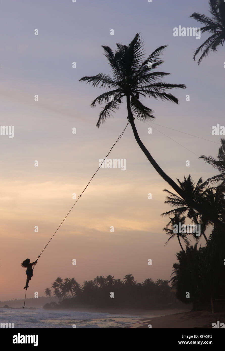 palm tree swing Stock Photo - Alamy