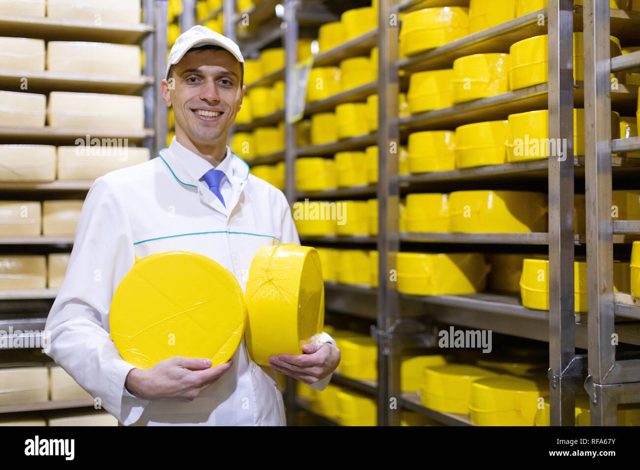 man holding a head of cheese at a dairy plant Stock Photo - Alamy