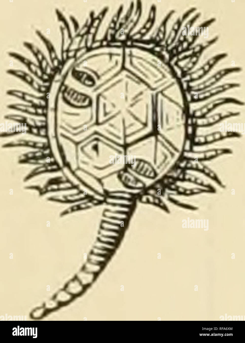 . A catalogue of the collection of Cambrian and Silurian fossils ...
