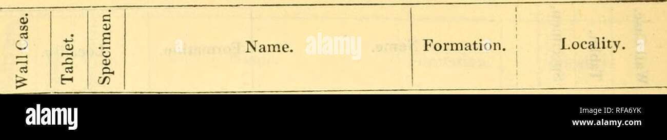 Saurocephalus sp hi-res stock photography and images - Alamy