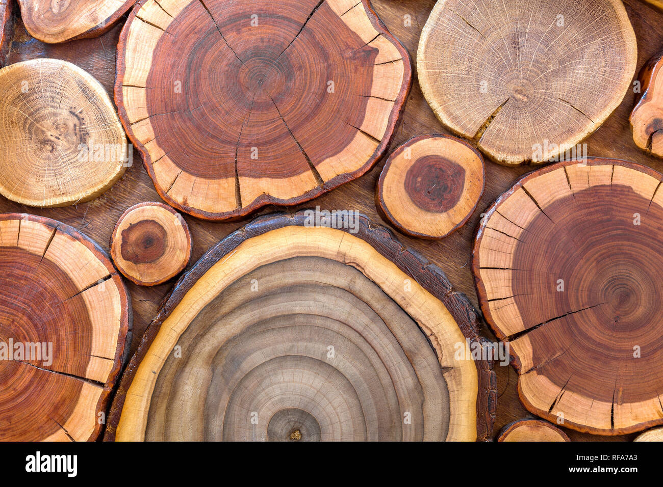 Round wooden unpainted solid natural ecological soft colored brown and ...