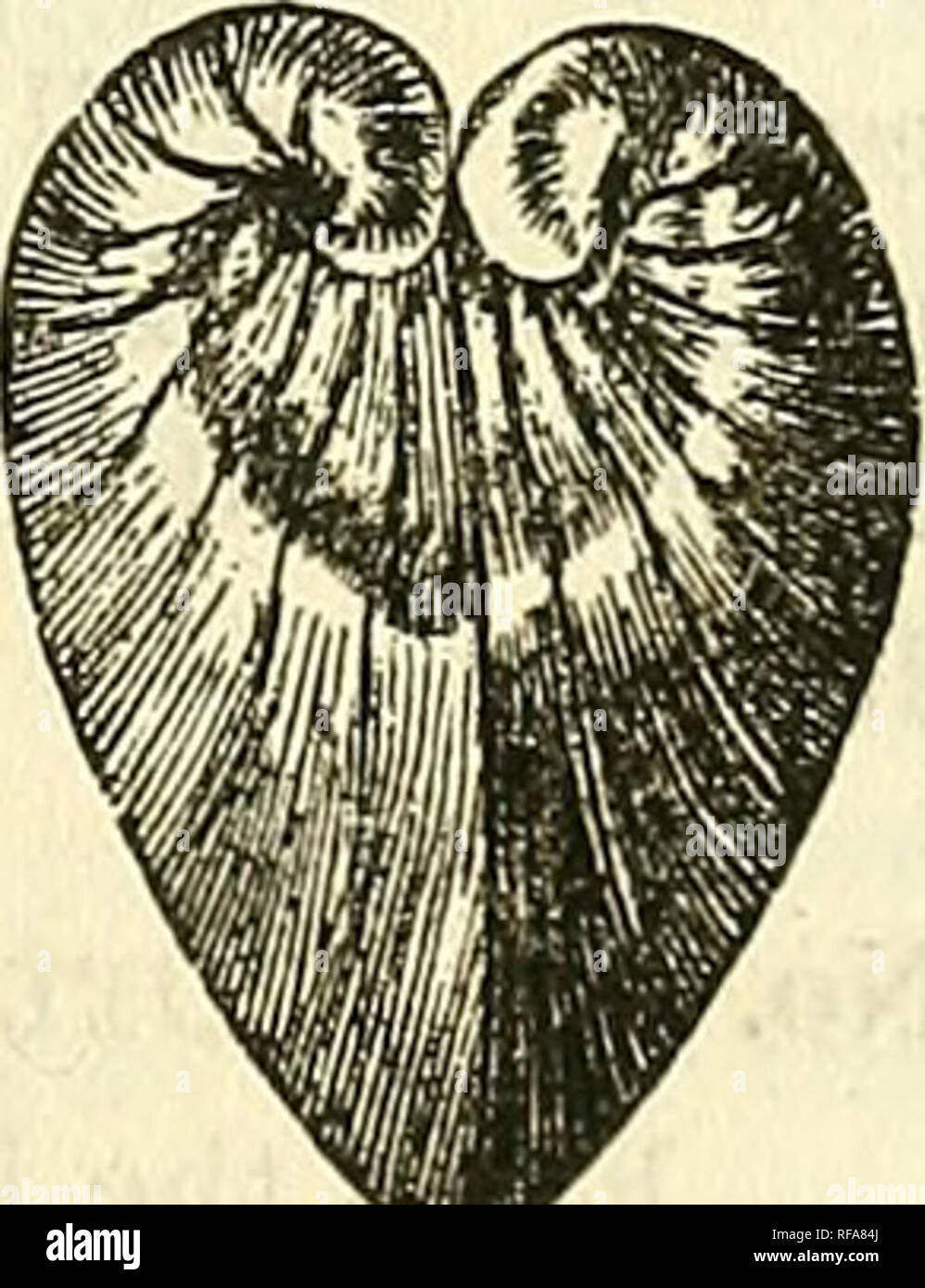 Lower greensand group hi-res stock photography and images - Alamy