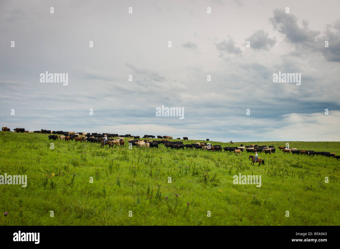 Flint Hills in eastern Kansas, USA, have some of the most intact ...