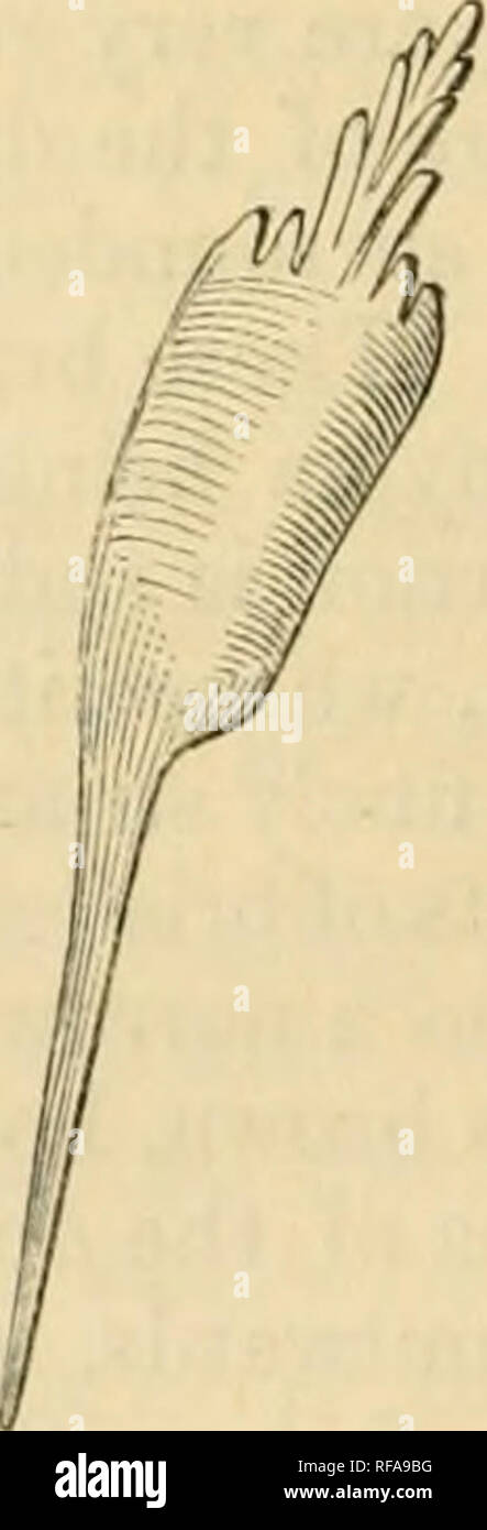 Moveable disk hi-res stock photography and images - Alamy