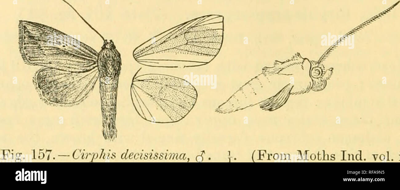 . Catalogue of the Lepidoptera Phalænæ in the British museum. Moths ...
