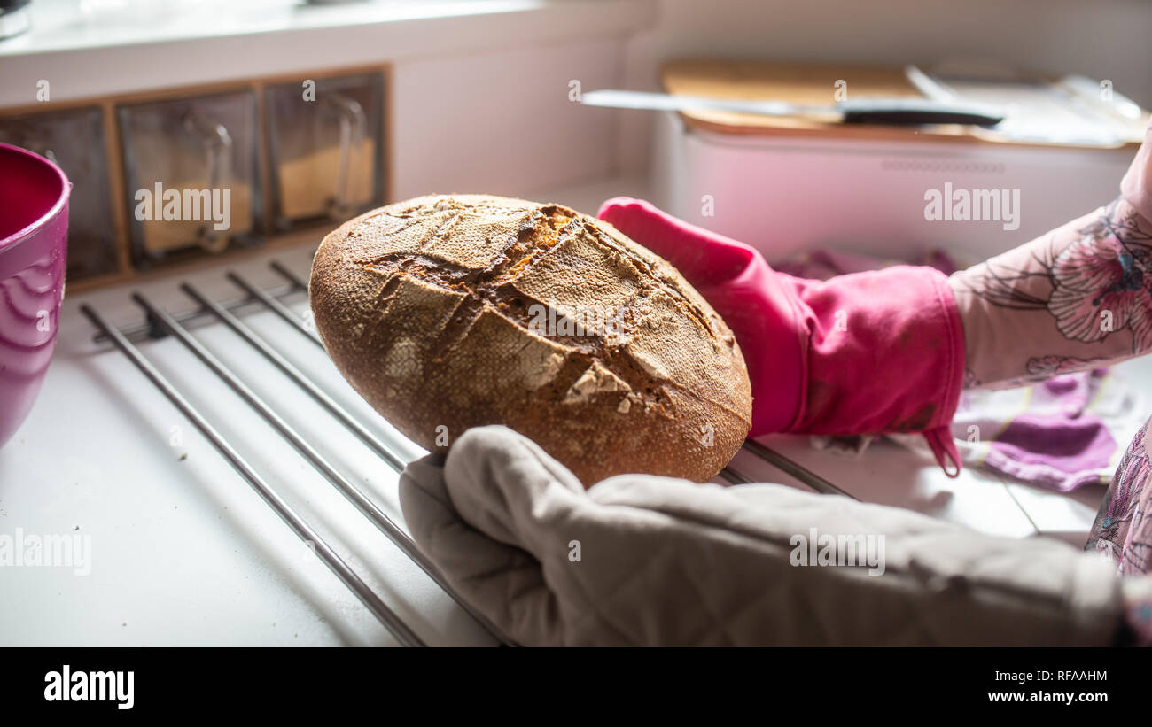 Closeup view of a woman wearing pink and grey kitchen mittens holding a ...