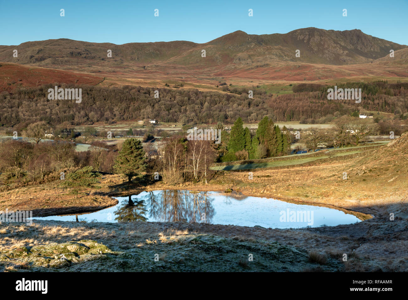 Kelly hall hi-res stock photography and images - Alamy