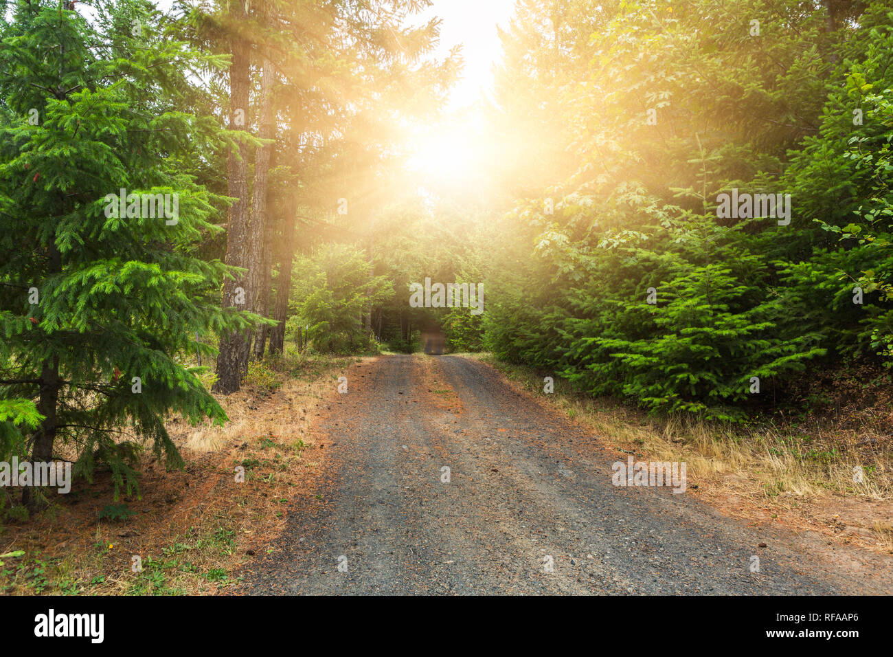 clean highway road in america Stock Photo - Alamy