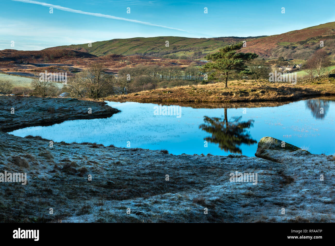 Kelly hall hi-res stock photography and images - Alamy