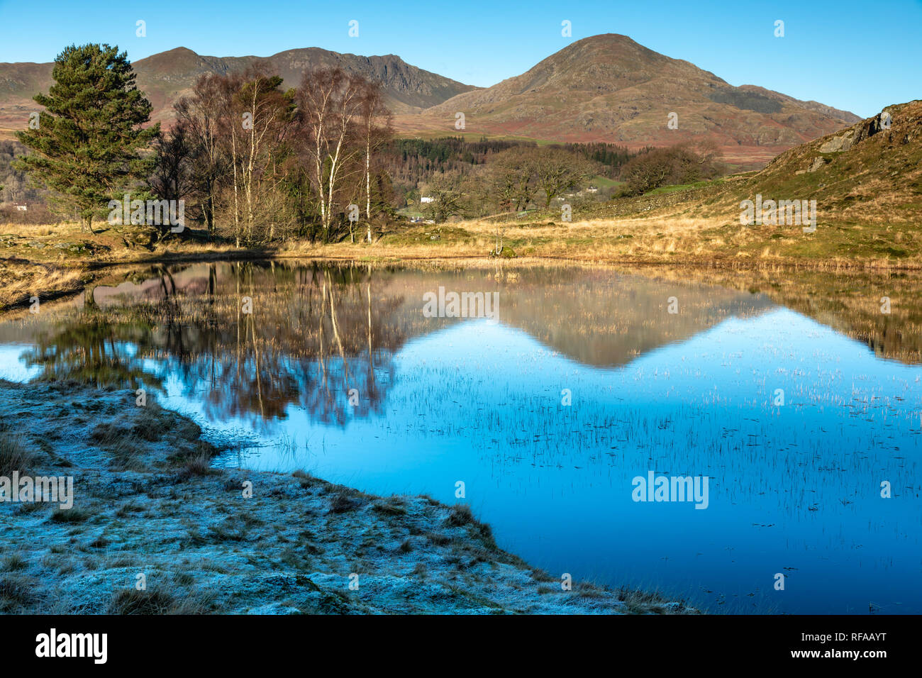 Kelly Hall Tarn, Cumbria Stock Photo - Alamy