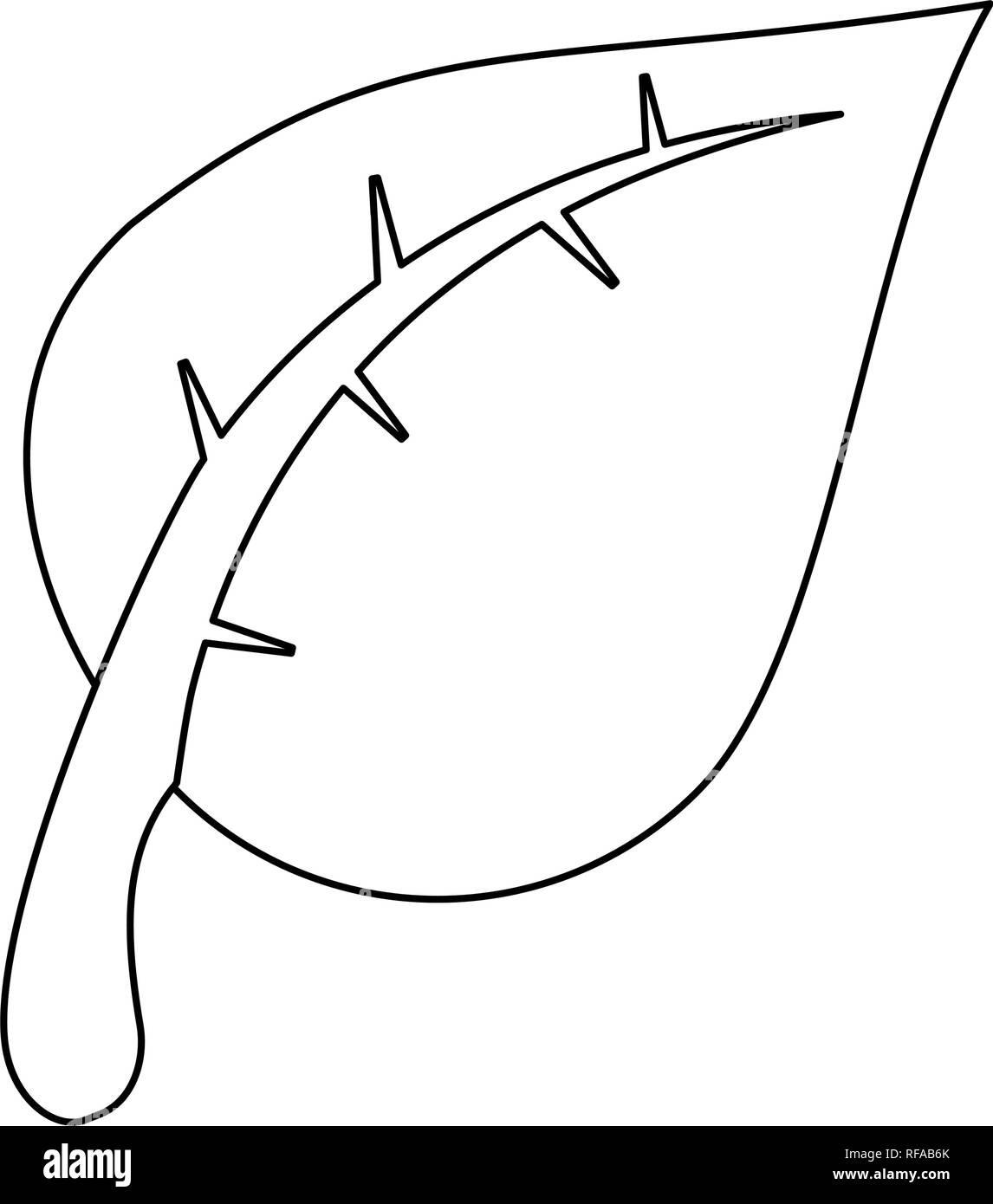 Bio market and restaurant Black and White Stock Photos & Images - Alamy