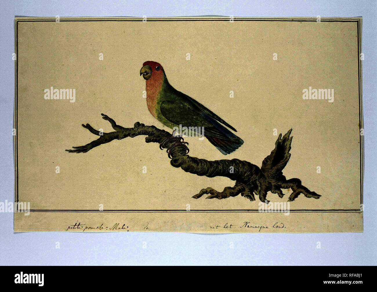 H 247 mm w 400 mm hi-res stock photography and images - Alamy