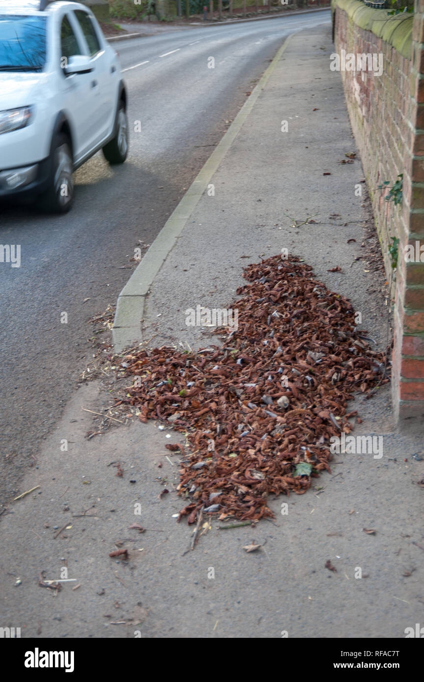 Roadside walkway hi-res stock photography and images - Alamy