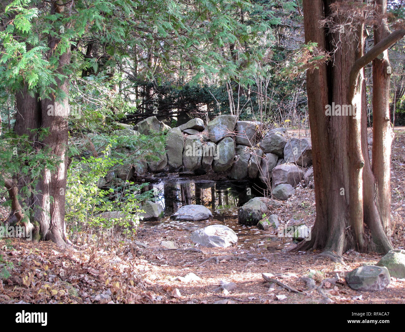 Stone structures in woods hi-res stock photography and images - Alamy