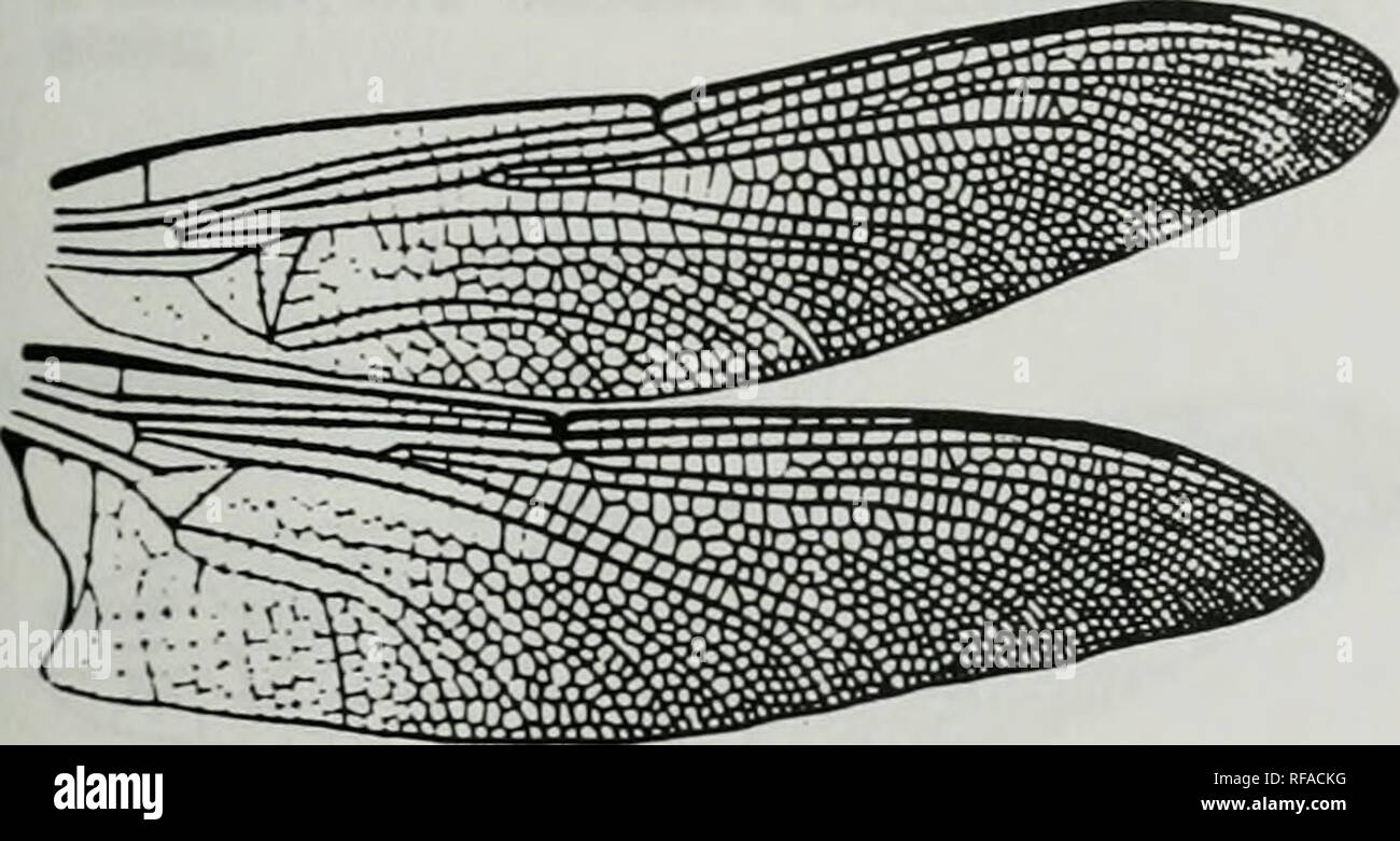 18 Aes High Resolution Stock Photography and Images - Alamy