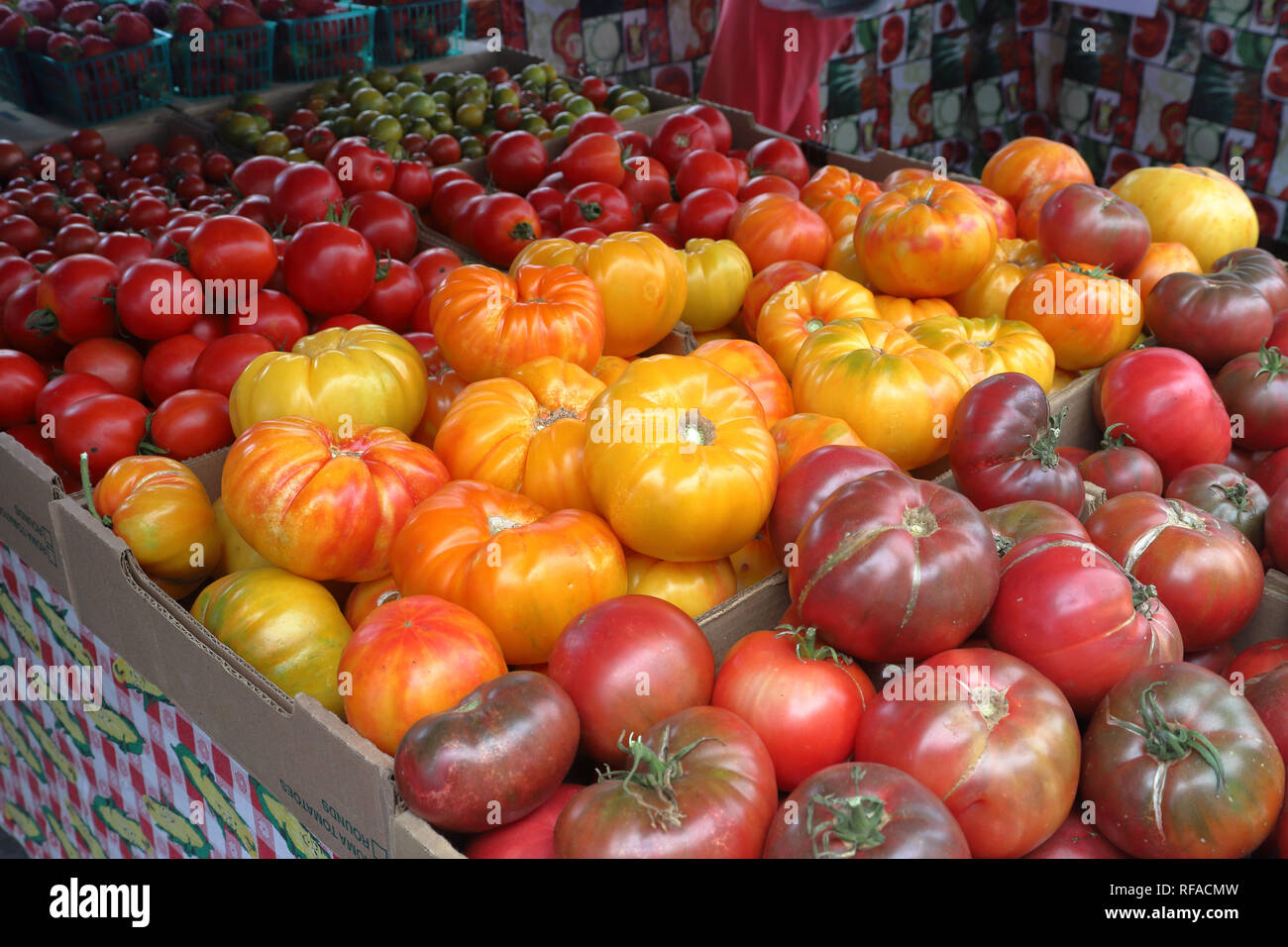 Colorful fresh tomotoes at open market Stock Photo - Alamy