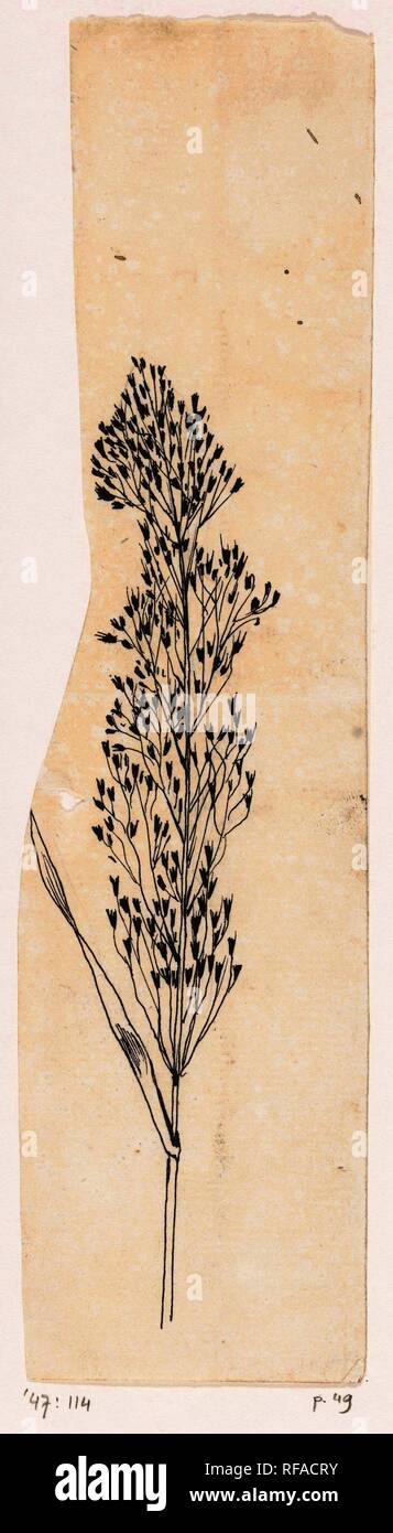 Willem wenckebach hi-res stock photography and images - Alamy