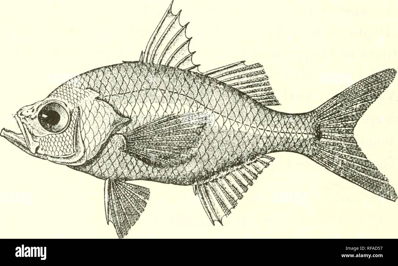 . Catalogue of the fresh-water fishes of Africa in the British Museum ...
