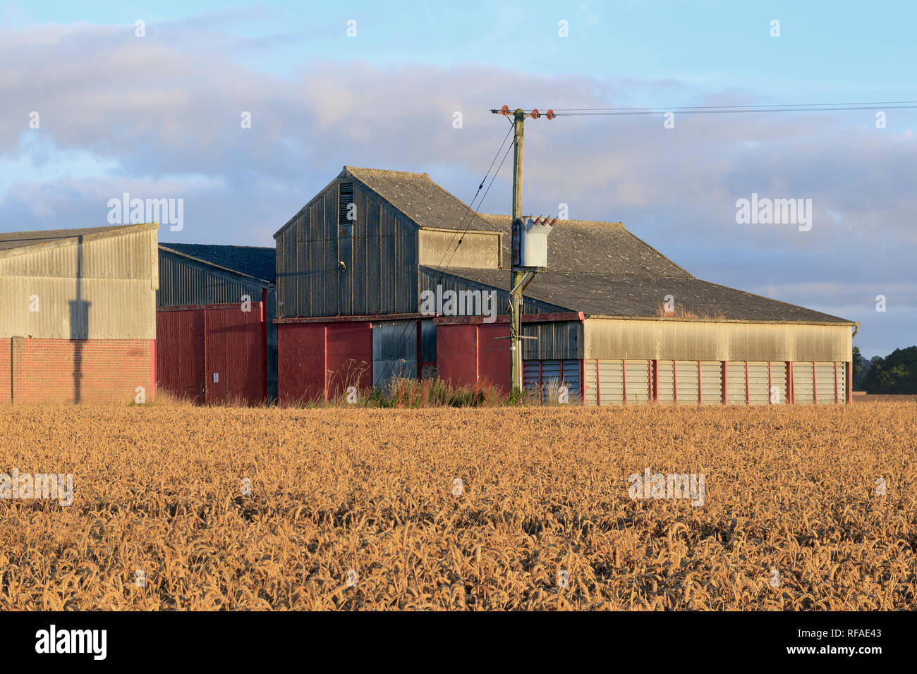 Farm Barns in Lincolnshire Stock Photo - Alamy