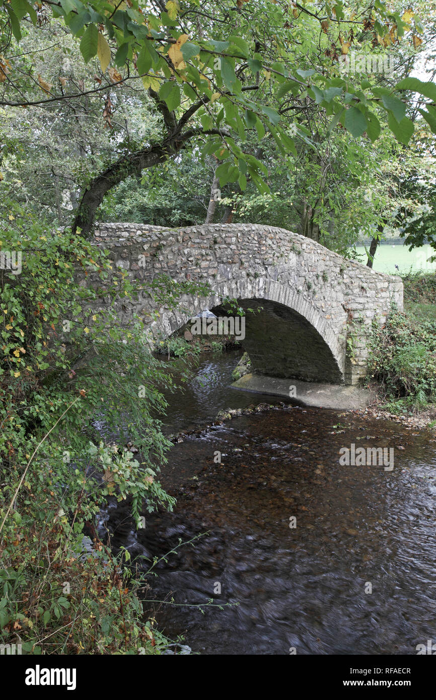 Packhorse bridge near Beckford Membury Devon England UK Stock Photo - Alamy