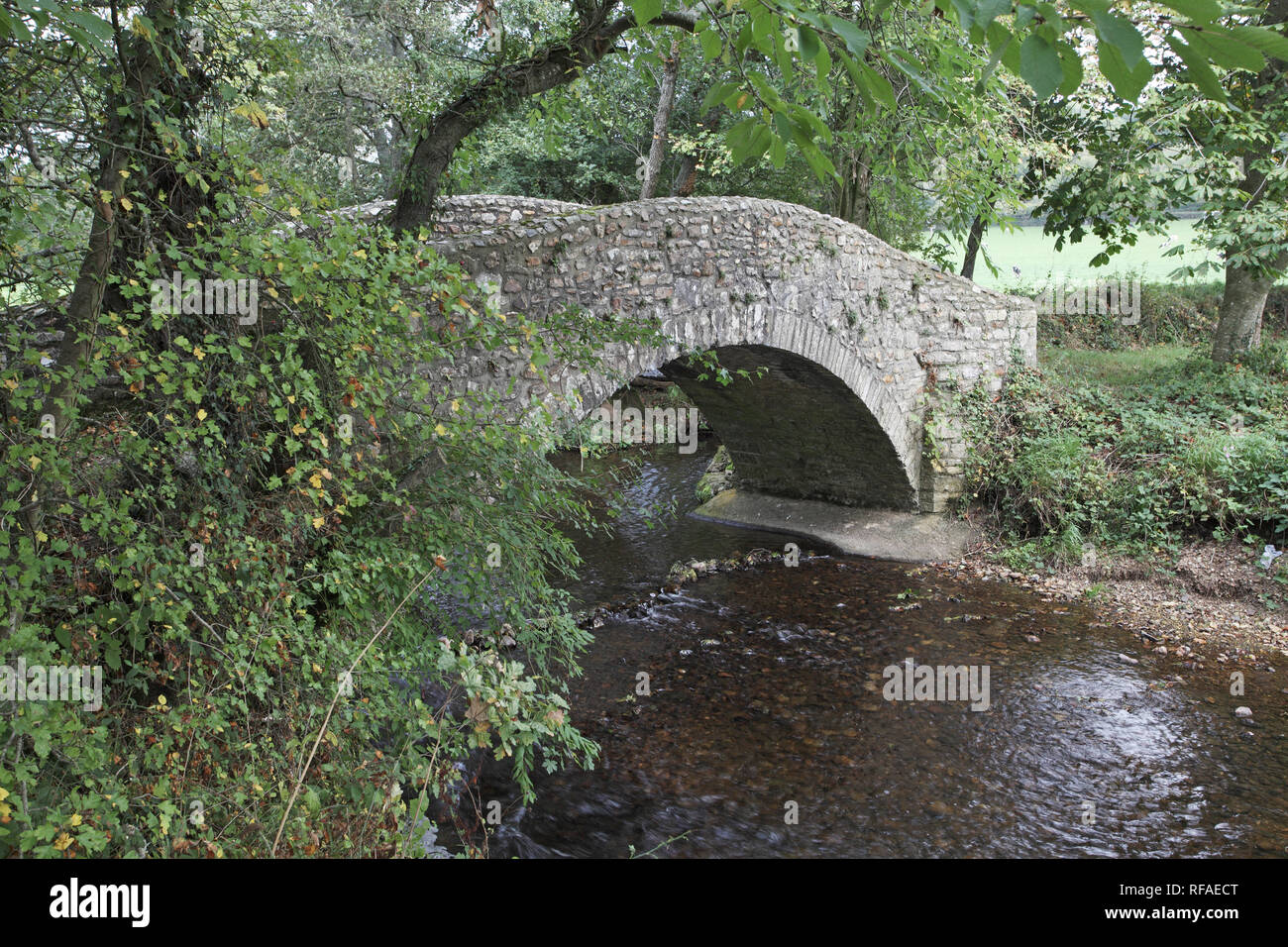 Membury devon hi-res stock photography and images - Alamy