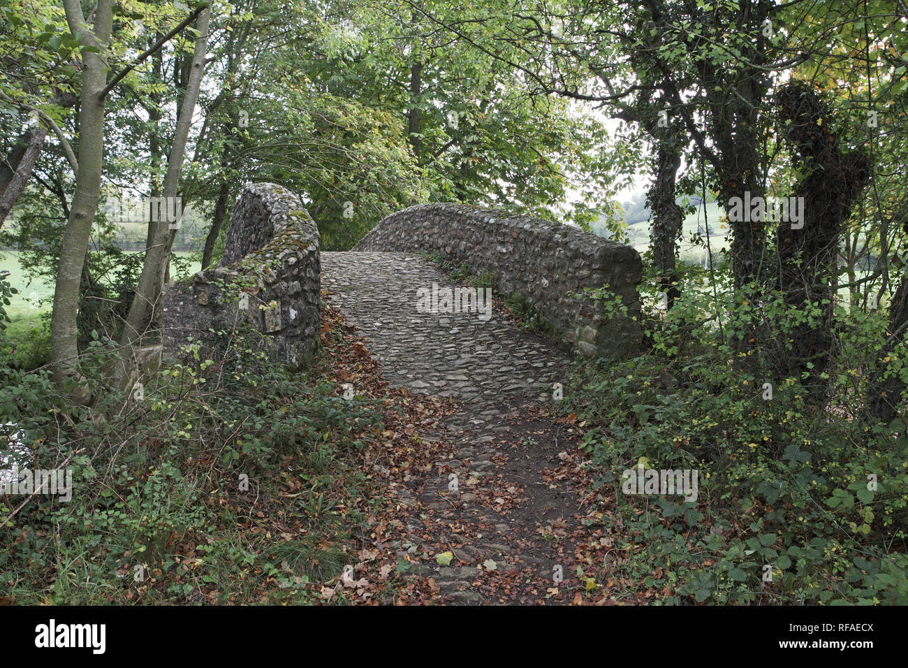 Packhorse bridge near Beckford Membury Devon England UK Stock Photo - Alamy