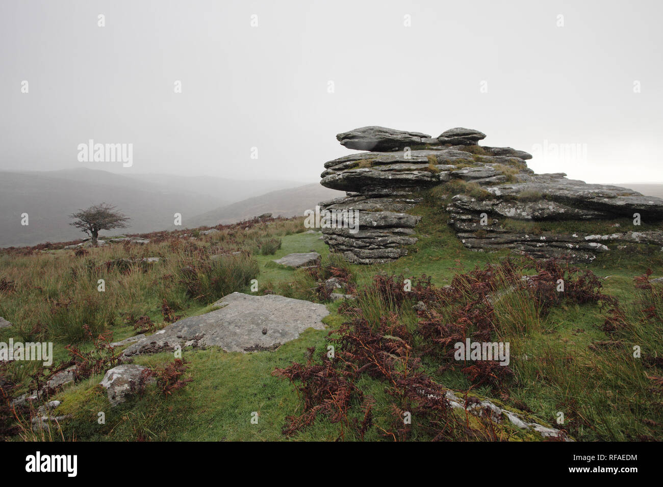 Combestone Tor Dartmoor National Park Devon England UK Stock Photo - Alamy