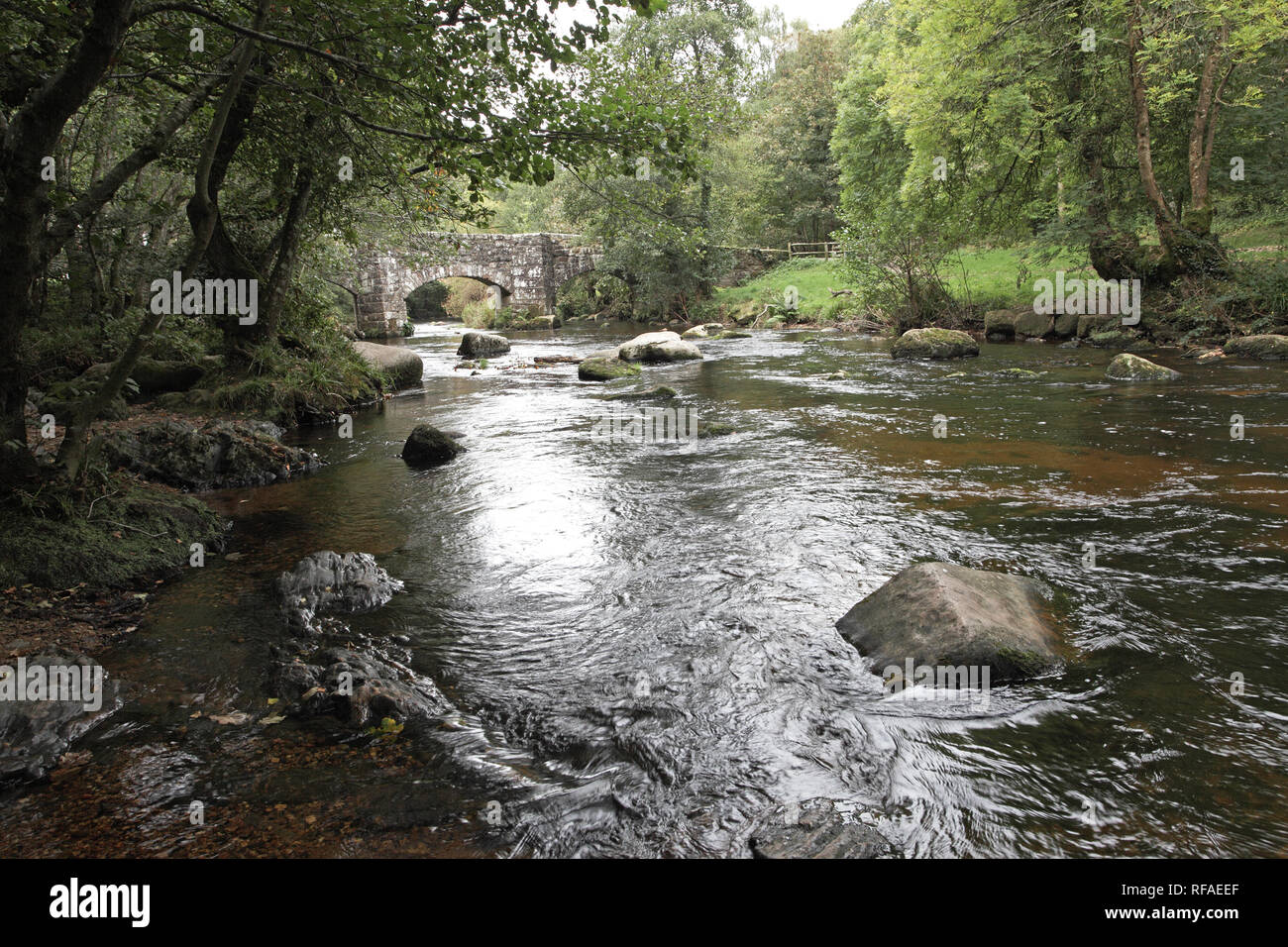 River Teign at Fingle Bridge Dartmoor National Park Devon England UK ...