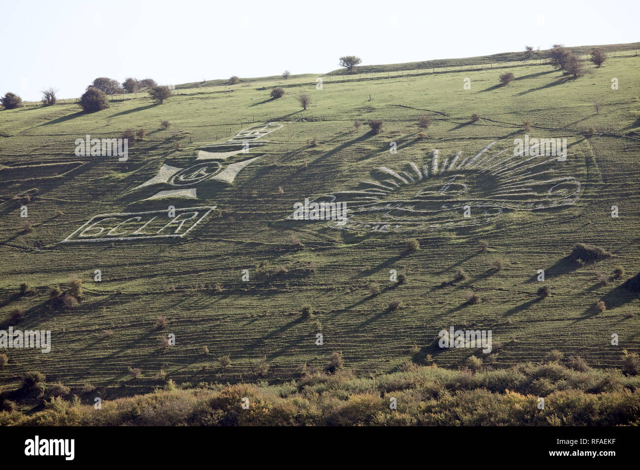 Regimental chalk hillside fovant hi-res stock photography and images ...