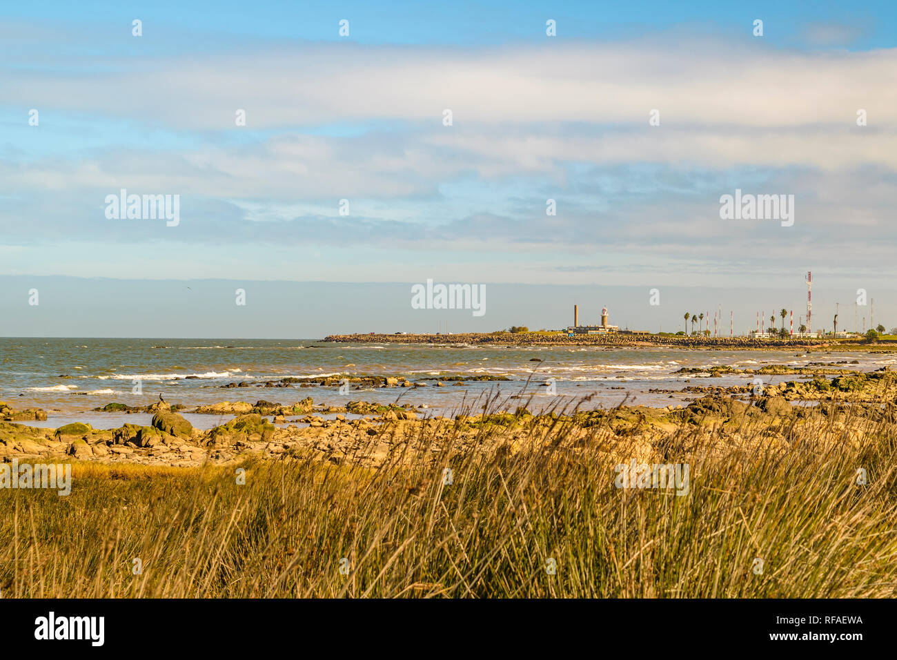 Landscape coastal scene at spring time in montevideo city, the capital ...