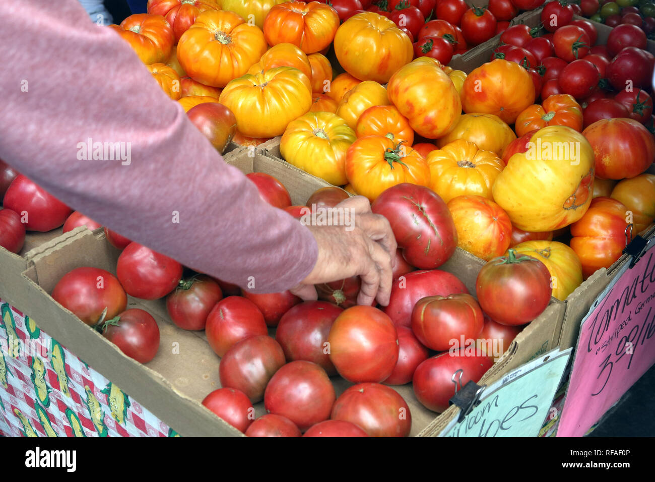 Hand picking out fresh tomatoes at open market Stock Photo - Alamy