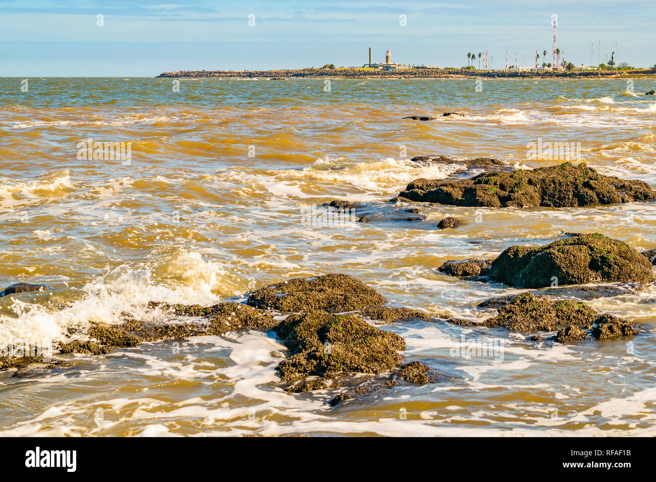 Landscape coastal scene at spring time in montevideo city, the capital ...