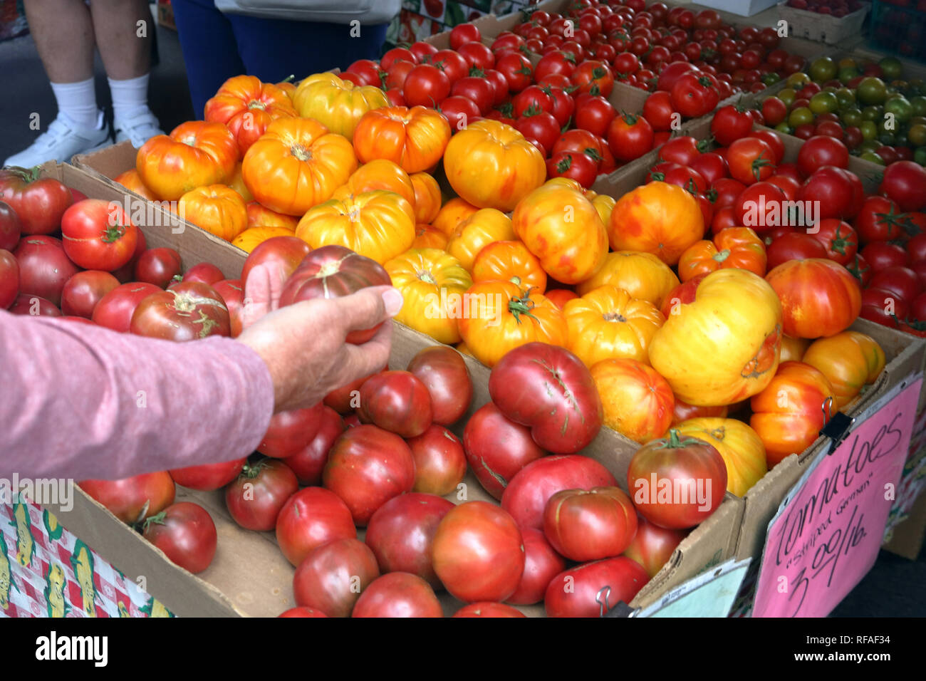 Hand picking out fresh tomatoes at open market Stock Photo - Alamy